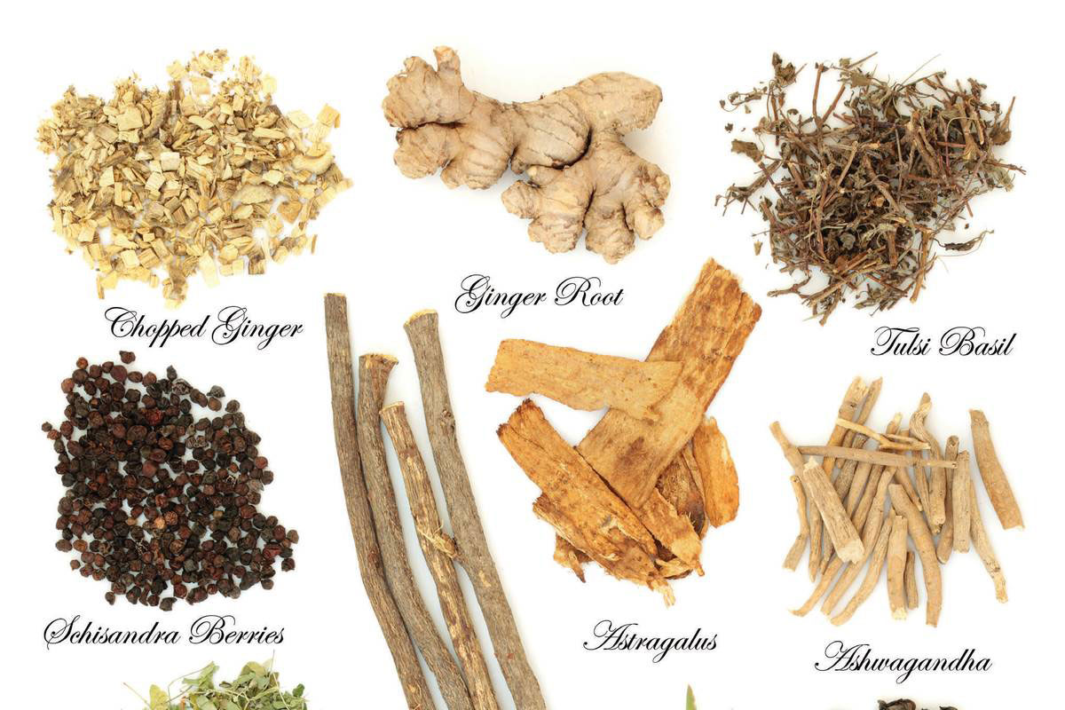 Adaptogens: Whare They Are and How to Use Them in Delaware