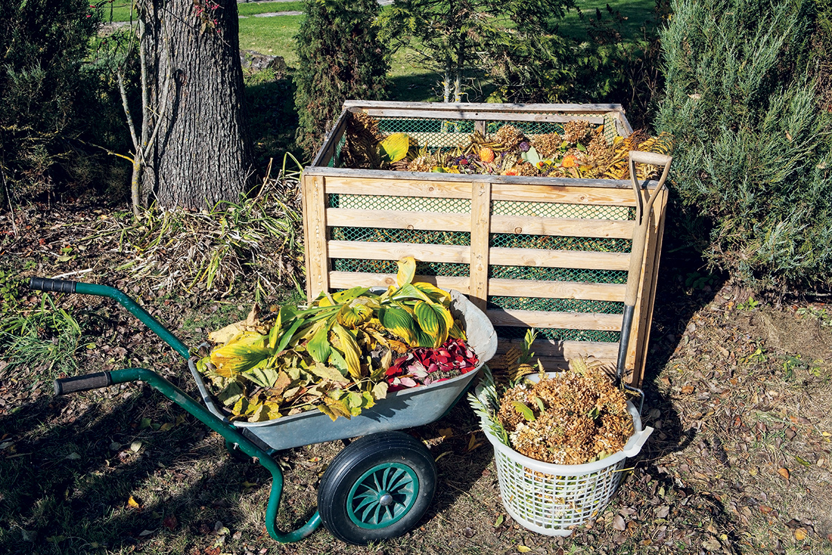 Everything You Need to Know About Composting