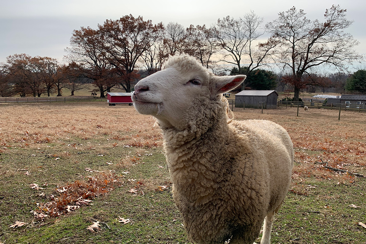 A Day On the Job With Delaware Nature Society