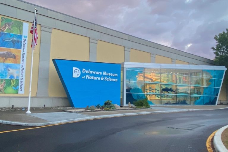 The Delaware Museum of Nature & Science Delights in Wilmington