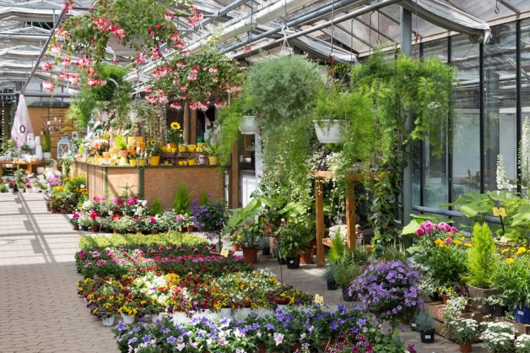 6 Garden Stores in Delaware to Spruce up Your Yard