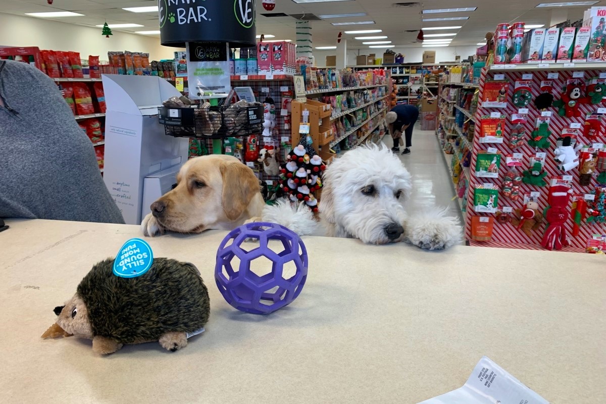 This Secret Santa Paws Program at Nemours Is Too Cute