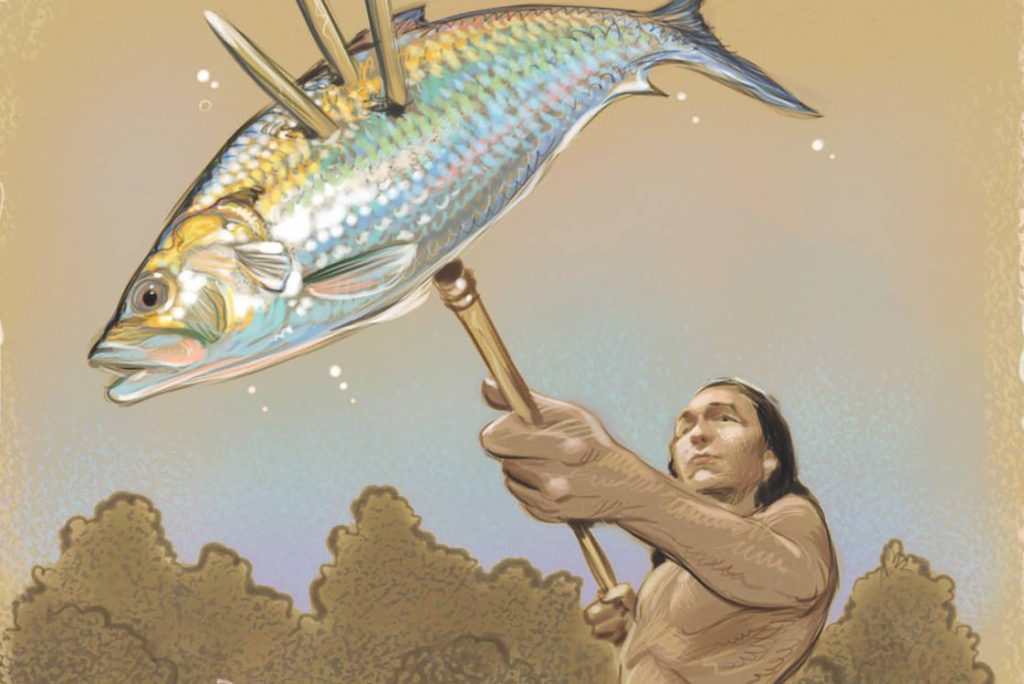 Inside the Effort to Bring Shad Migration Back to the Brandywine River