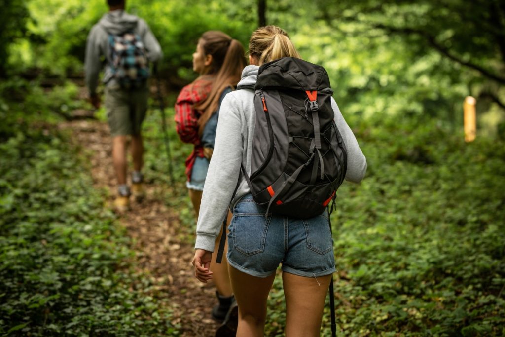 These Are the Top-Rated Hikes in Delaware