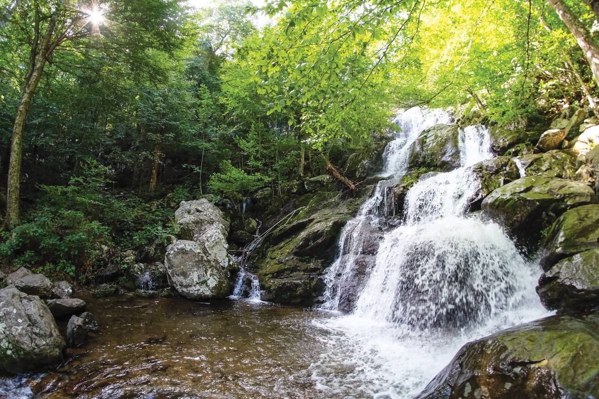 6 Hikes Around Delaware With Waterfall Views