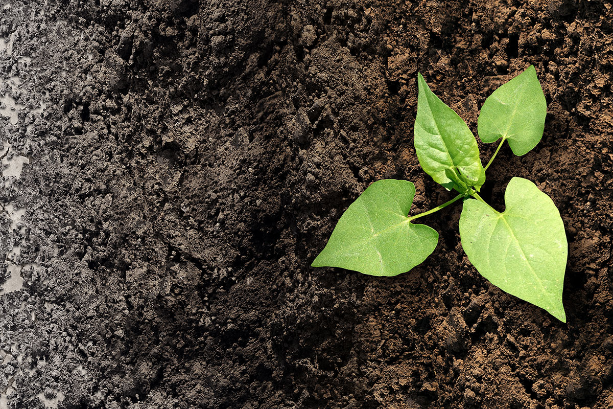 This Delaware Act Aims for Net-Zero Carbon Emissions by 2050