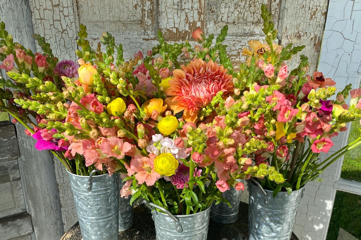 Flower Farms Around Delaware Offer Stunning Local Blooms