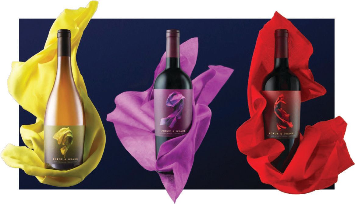 What to Expect at Delaware Today's Sip, Sample & Savor Event