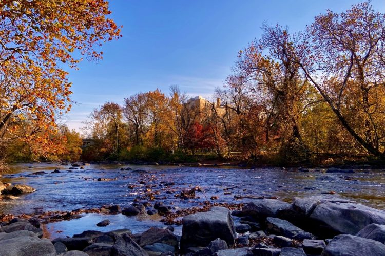 Fall Foliage Guide: Where to Go Leaf Peeping in Delaware