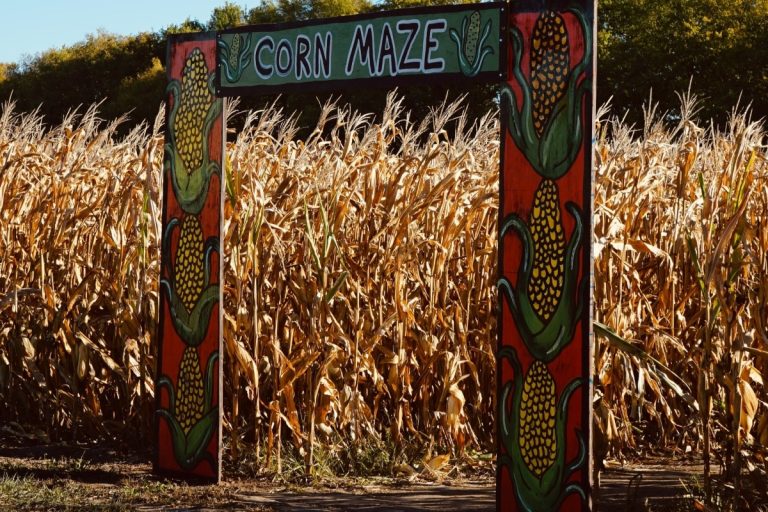 These Corn Mazes Offer Family Fun in Delaware This Fall