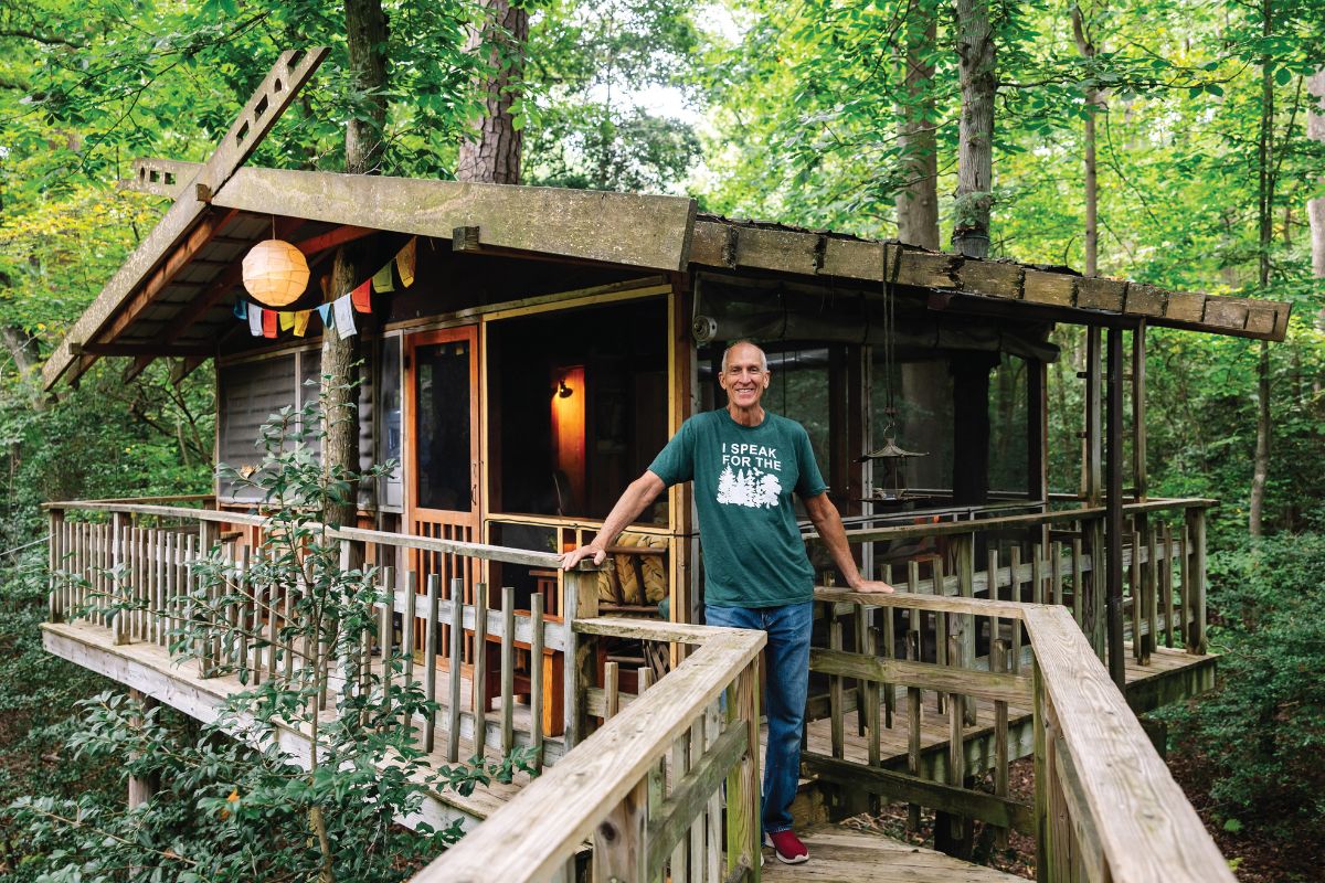 This Lewes Treehouse Is Inspired by Frank Lloyd Wright