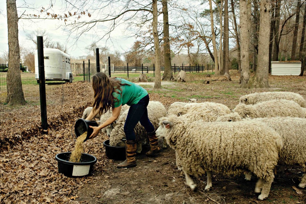 Delaware's Small Farms Innovate With the Changing Times