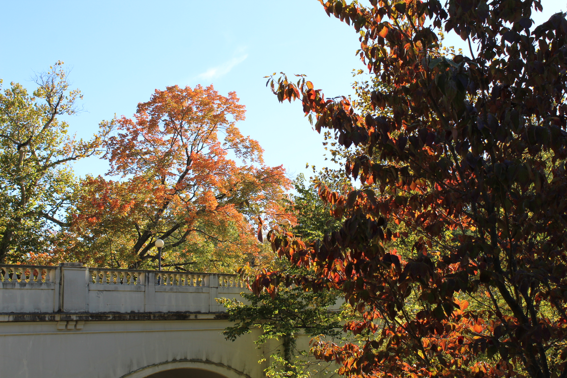 5 Small Towns to Visit in Delaware for a Gilmore Girls Fall