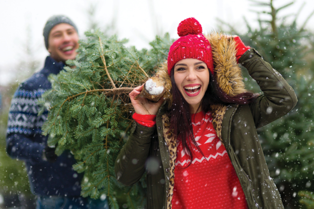 Christmas Tree Farmers in Delaware Offer Their Top Tree Tips
