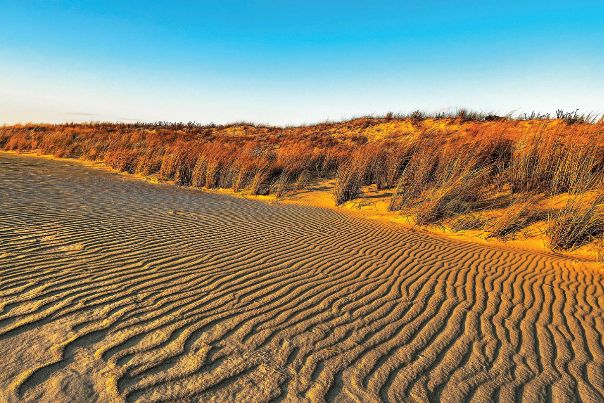 Nature Offers a Cherished Sense of Calm and Serenity in Delaware
