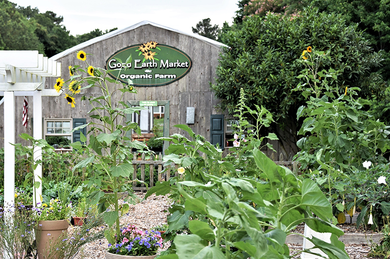 Good Earth Market & Organic Farm Welcomes Further Expansion