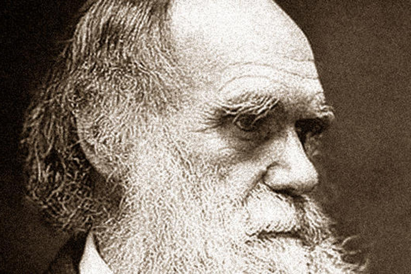 Lecture to Offer Fresh Insights on Charles Darwin