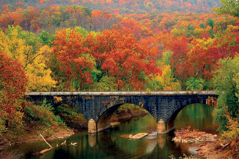 See Fall Foliage at These 5 Destinations Within Hours of Delaware