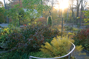 Falling for the Garden