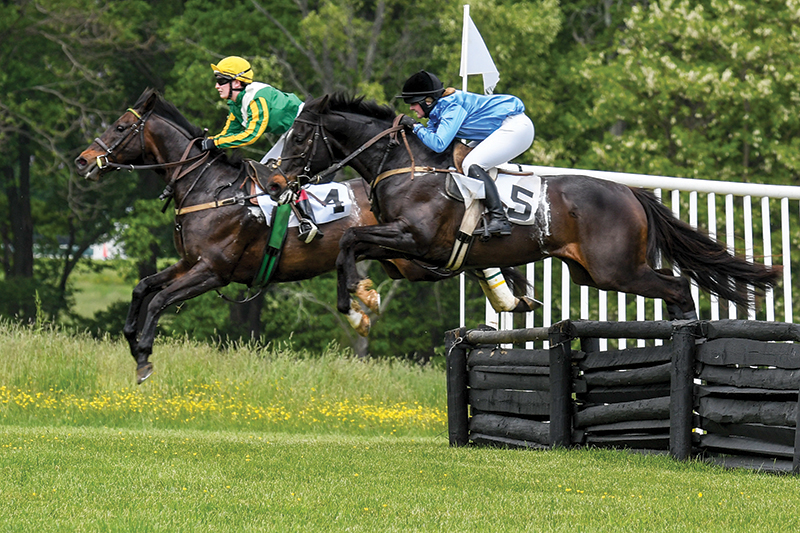 A Glossary of Steeplechase Terms