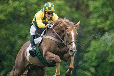 May is the Month of Horses