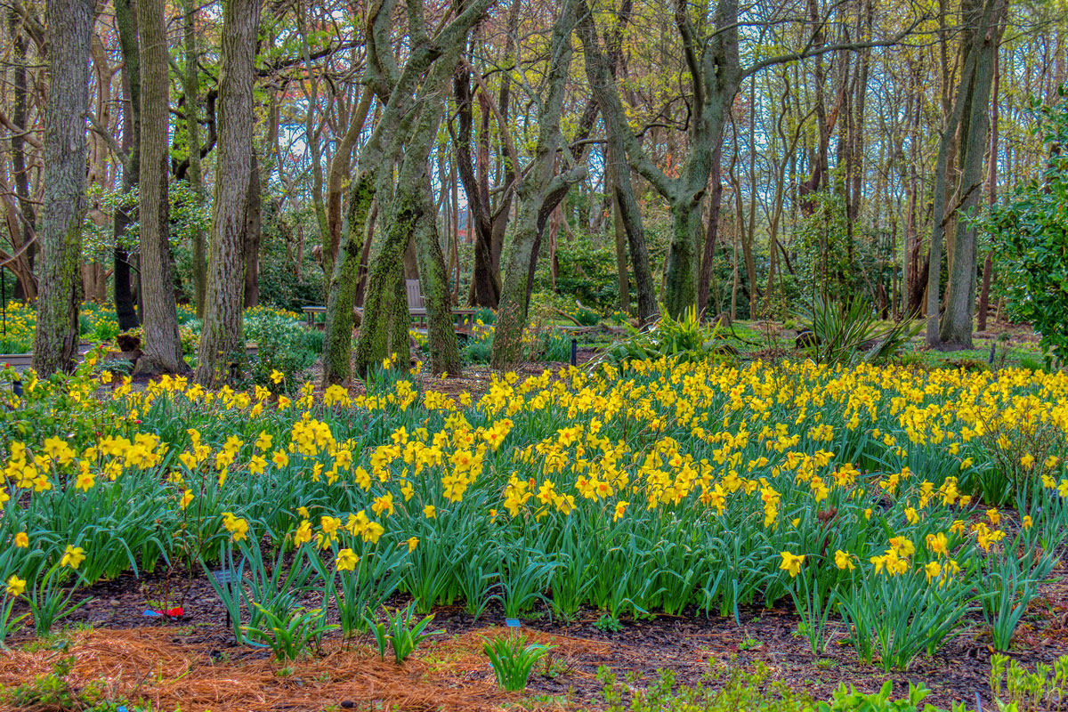 Delaware Botanic Gardens Reopens for the Season