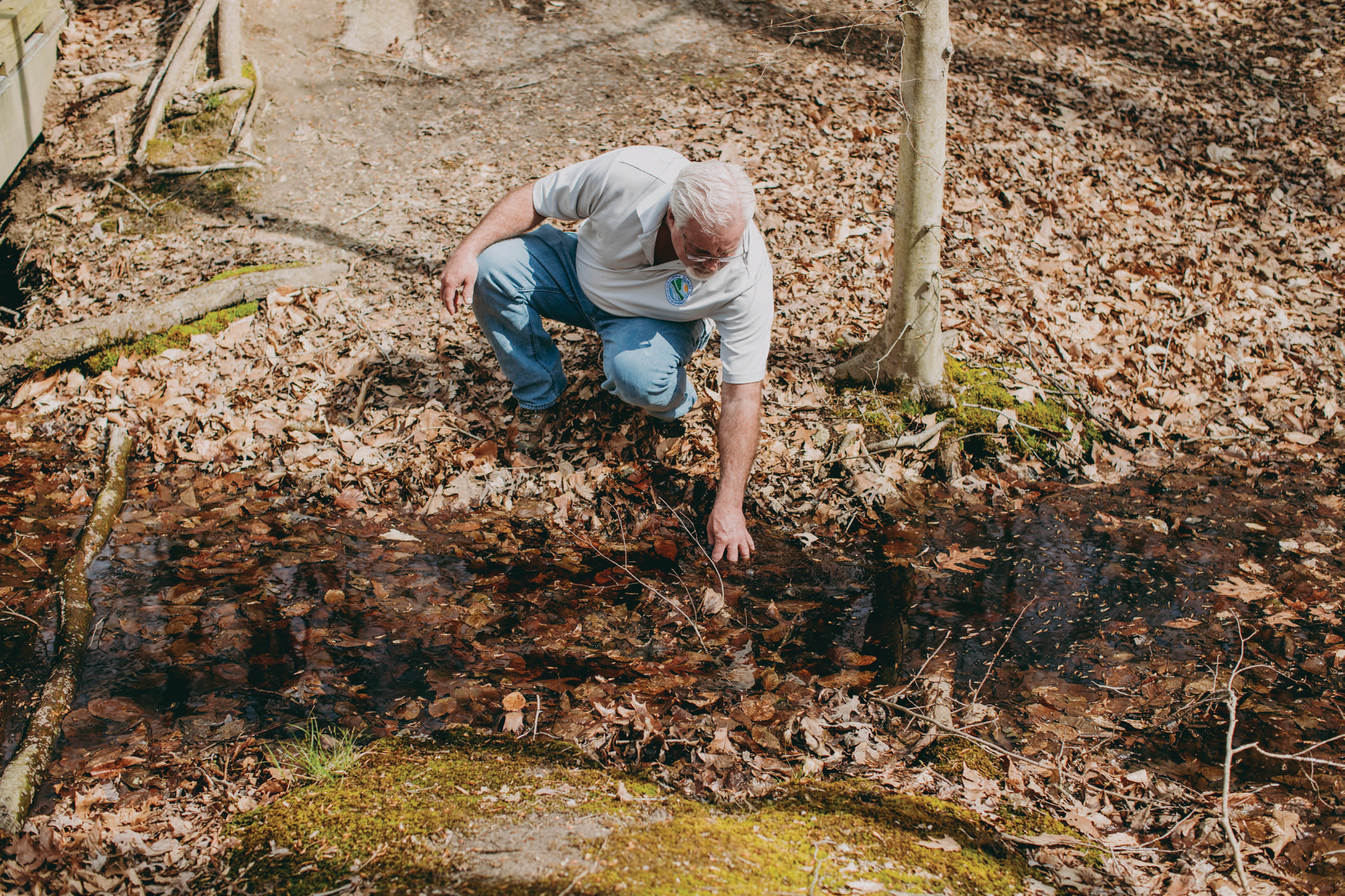 The Wetlands of Delaware Are Crucial for the Local Ecosystem