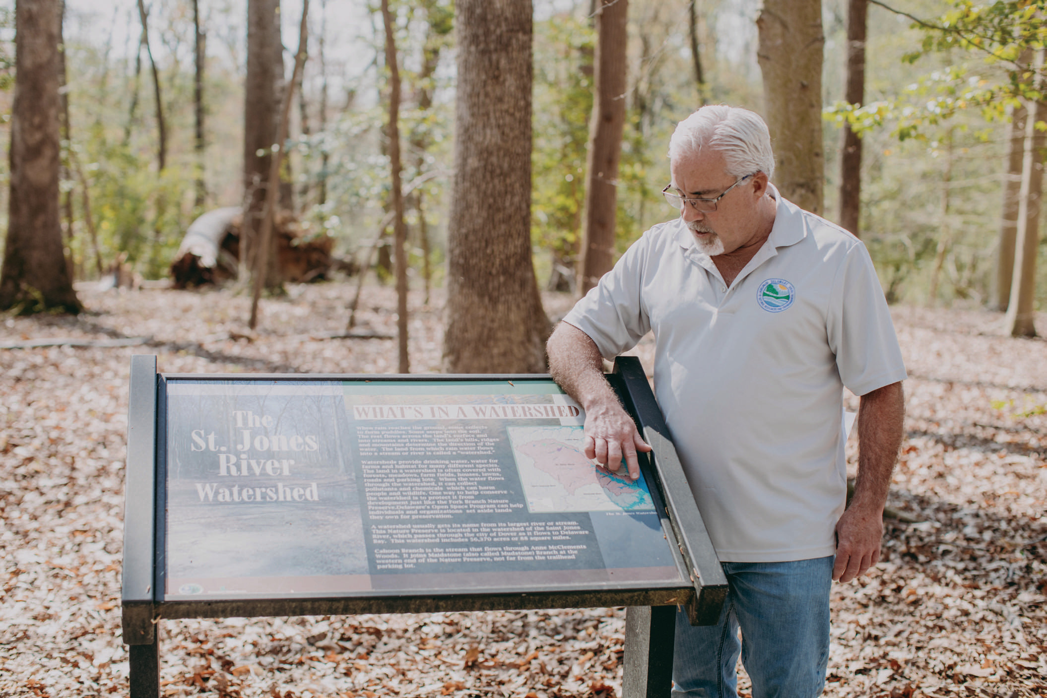 The Wetlands of Delaware Are Crucial for the Local Ecosystem