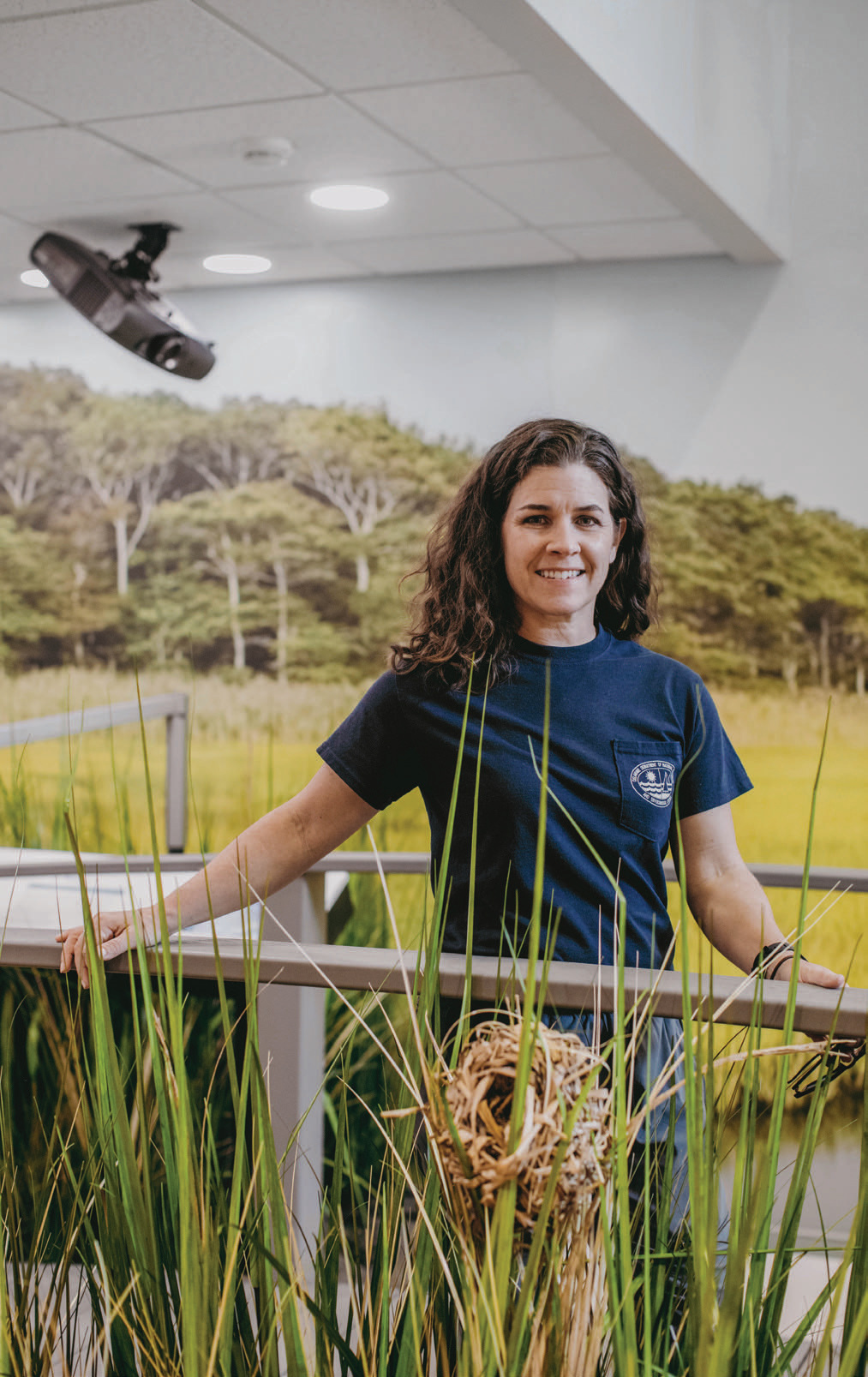 The Wetlands of Delaware Are Crucial for the Local Ecosystem