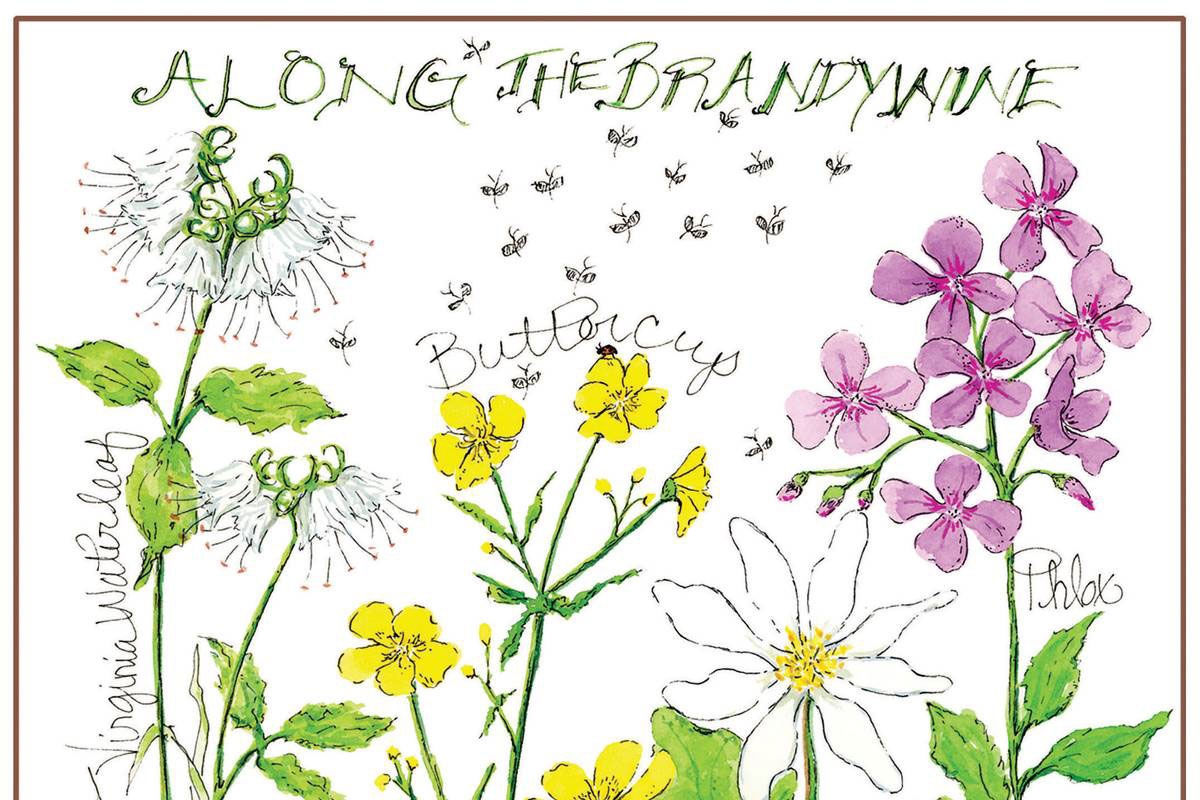 "Along the Brandywine" Captures the Natural Beauty of Delaware