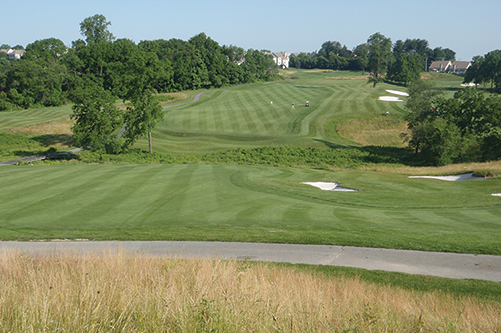 Course Spotlight