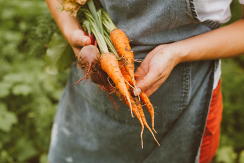 Meet the Makers of Your Favorite Local Products (and Snag Free Samples!)