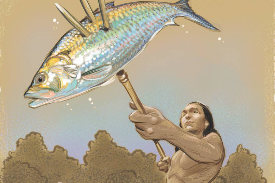 Inside the Effort to Bring Shad Migration Back to the Brandywine River